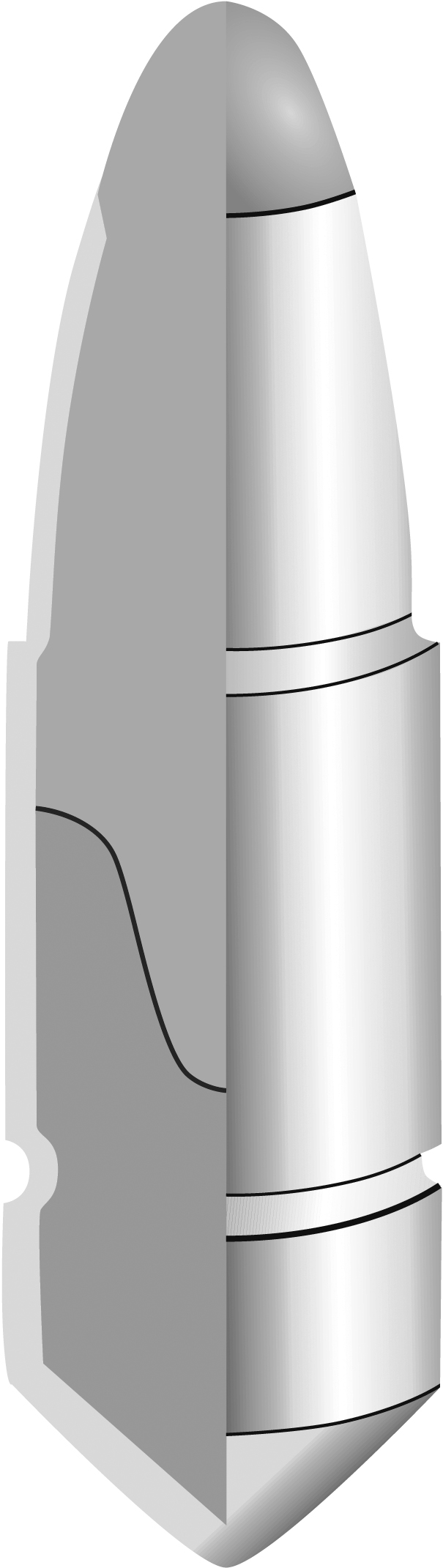 Torpedo-Ideal Geschoss - Wissen für die Jägerprüfung